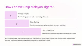 Adaptation-of-Tigers-to-Tropical-Environments-The-Malayan-Tiger.pptx