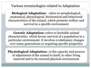 Adaptation-Physiology.pptx