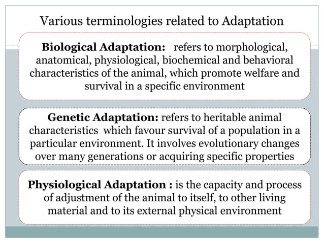 Adaptation-Physiology.pptx | Free Download