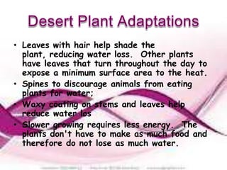 Adaptation plantadaptation-120925123815-phpapp01 | PPT