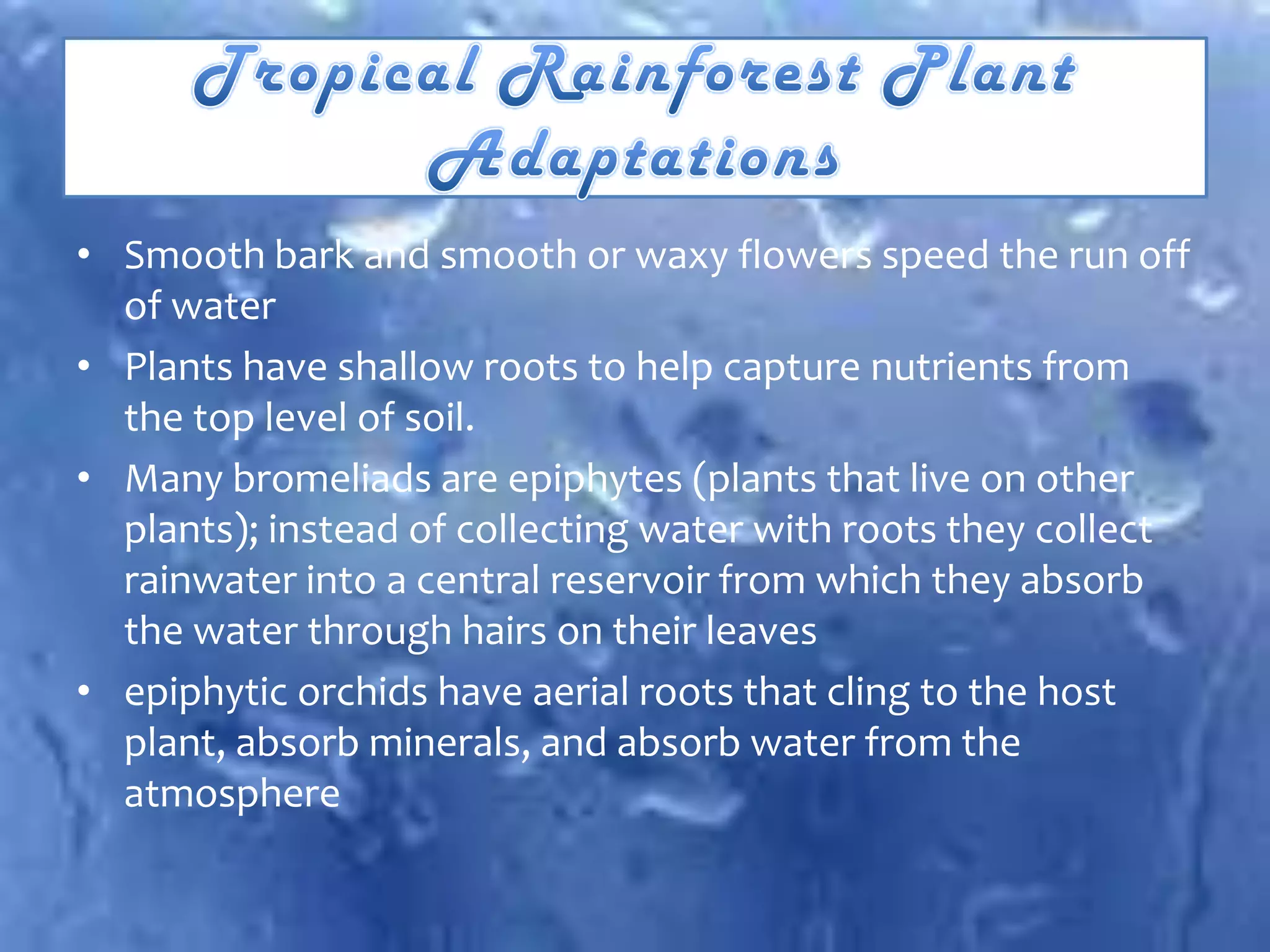 Plant Adaptation | PPTX