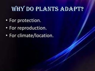 Plant Adaptation | PPTX