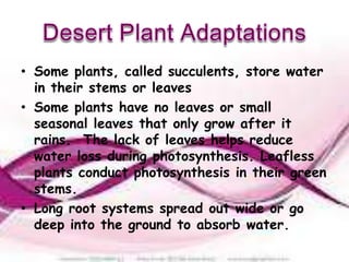 Plant Adaptation | PPTX
