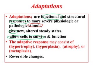 Adaptation 30. sept.2013