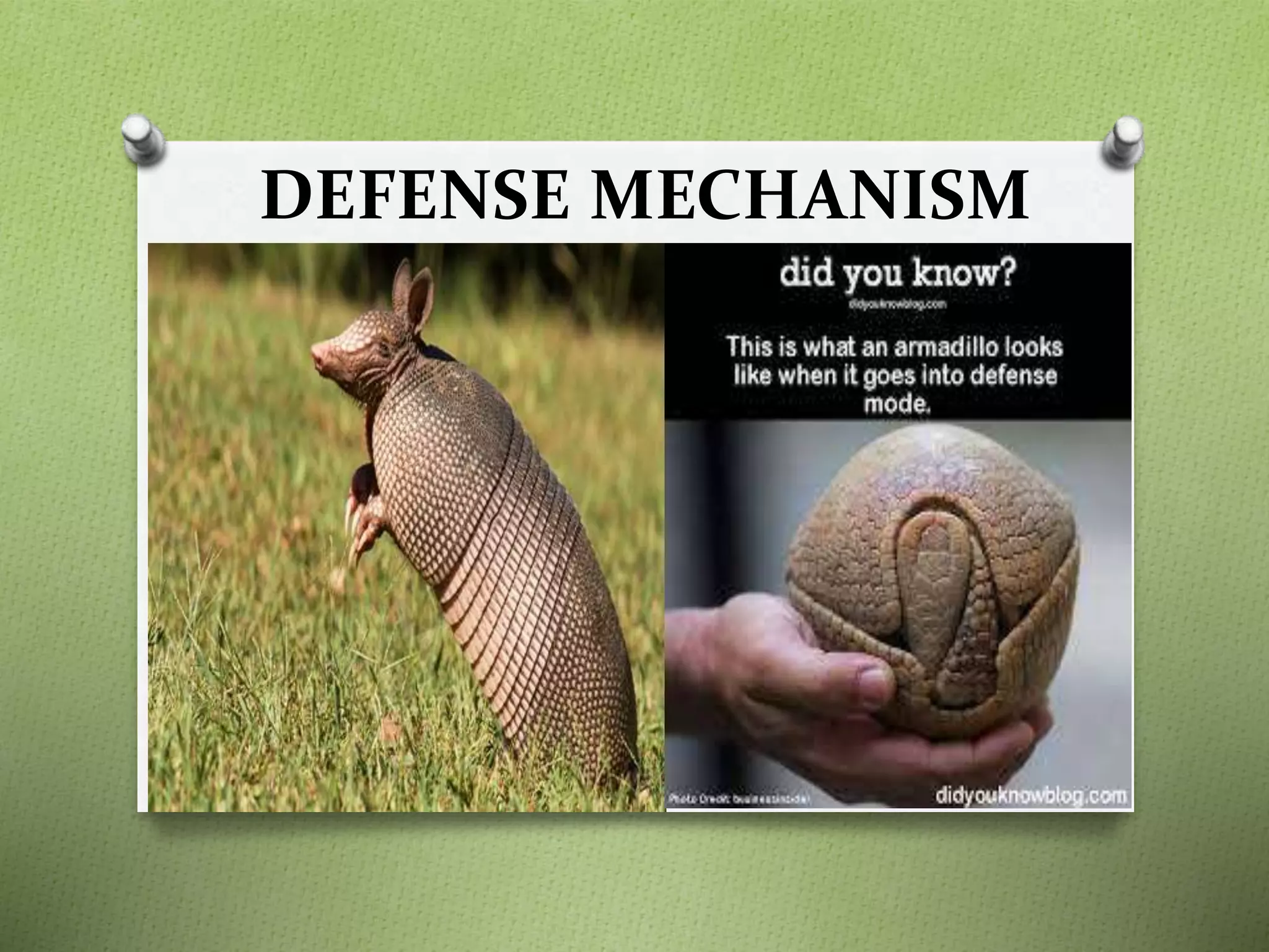 Adaptation and maladaptation, Crisis, stress and defense mechanism | PPTX