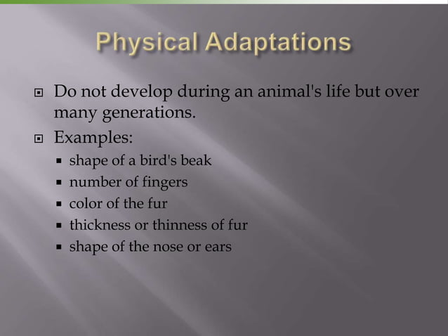 Adaptation and selective breeding | PPT