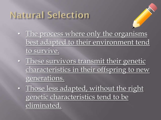 Adaptation and selective breeding | PPTX | Genetics | Science