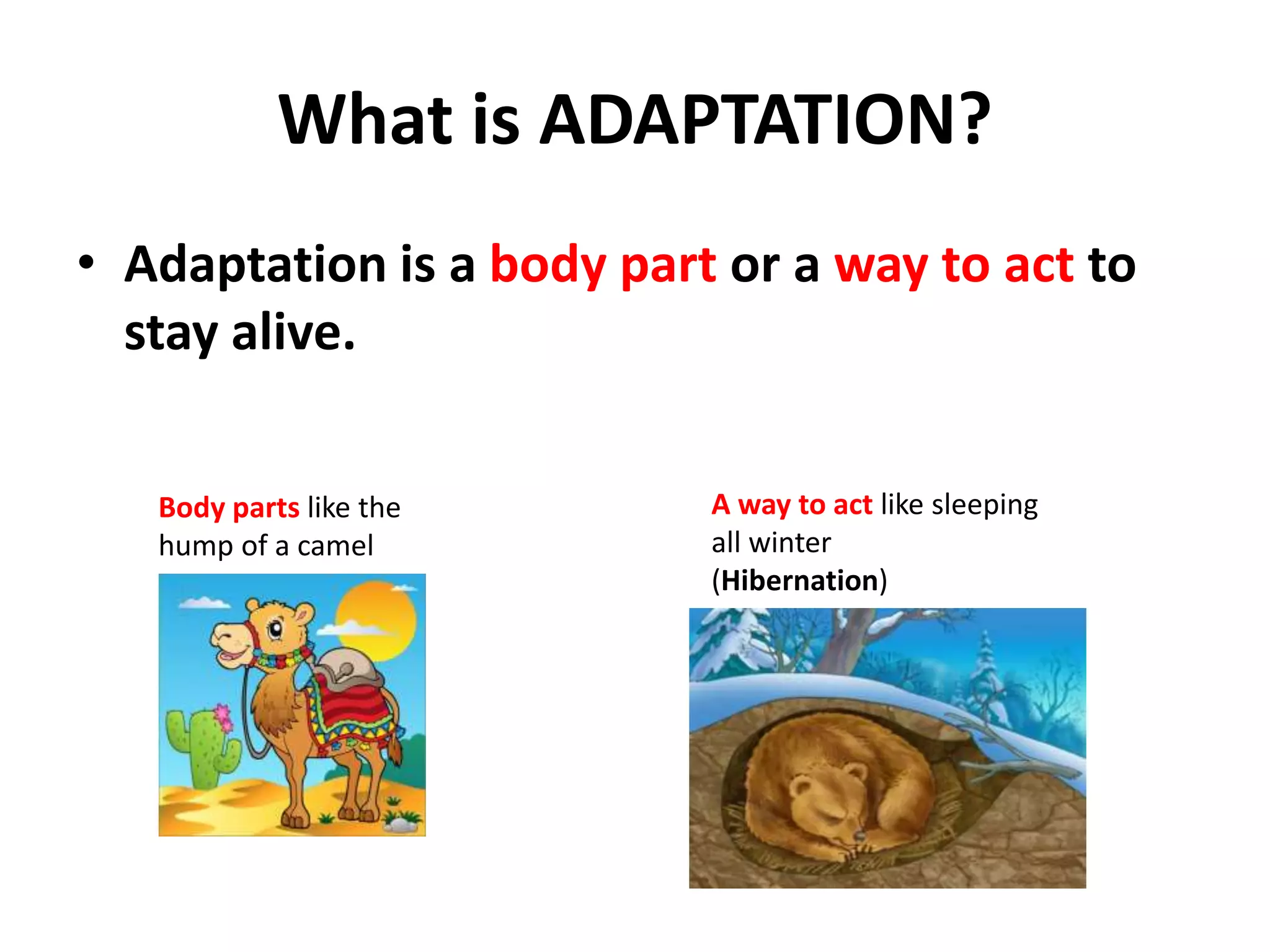 Adaptation (body parts) | PPTX