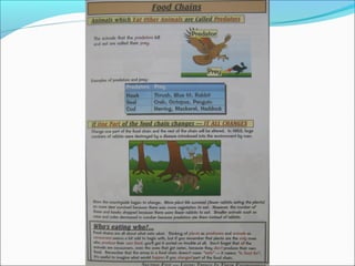 Adaptation, Classification & Food Chains | PPT | Food & Drink