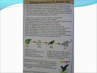 Adaptation, Classification & Food Chains | PPT | Food & Drink