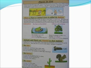 Adaptation, Classification & Food Chains | PPT | Food & Drink