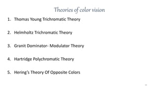Adaptation,Color vision & Errors of Refraction | PPT