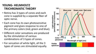 Adaptation,Color vision & Errors of Refraction | PPT