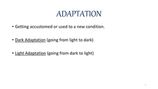 Adaptation,Color vision & Errors of Refraction | PPT