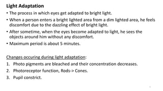 Adaptation,Color vision & Errors of Refraction | PPT