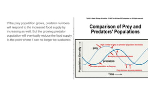 Adaptation and Competition | PPTX