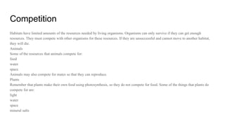 Adaptation and Competition | PPT | Free Download
