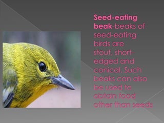 Adaptation for purpose of food procurement | PPT