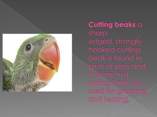 Adaptation for purpose of food procurement | PPT