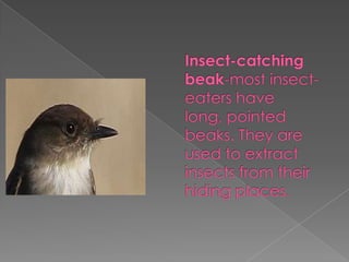 Adaptation for purpose of food procurement | PPT