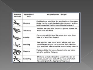 Adaptation for purpose of food procurement | PPT