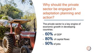 Private Sector in NAP Processes | PPTX