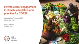 Private Sector Engagement in Climate Adaptation Planning and Priorities ...