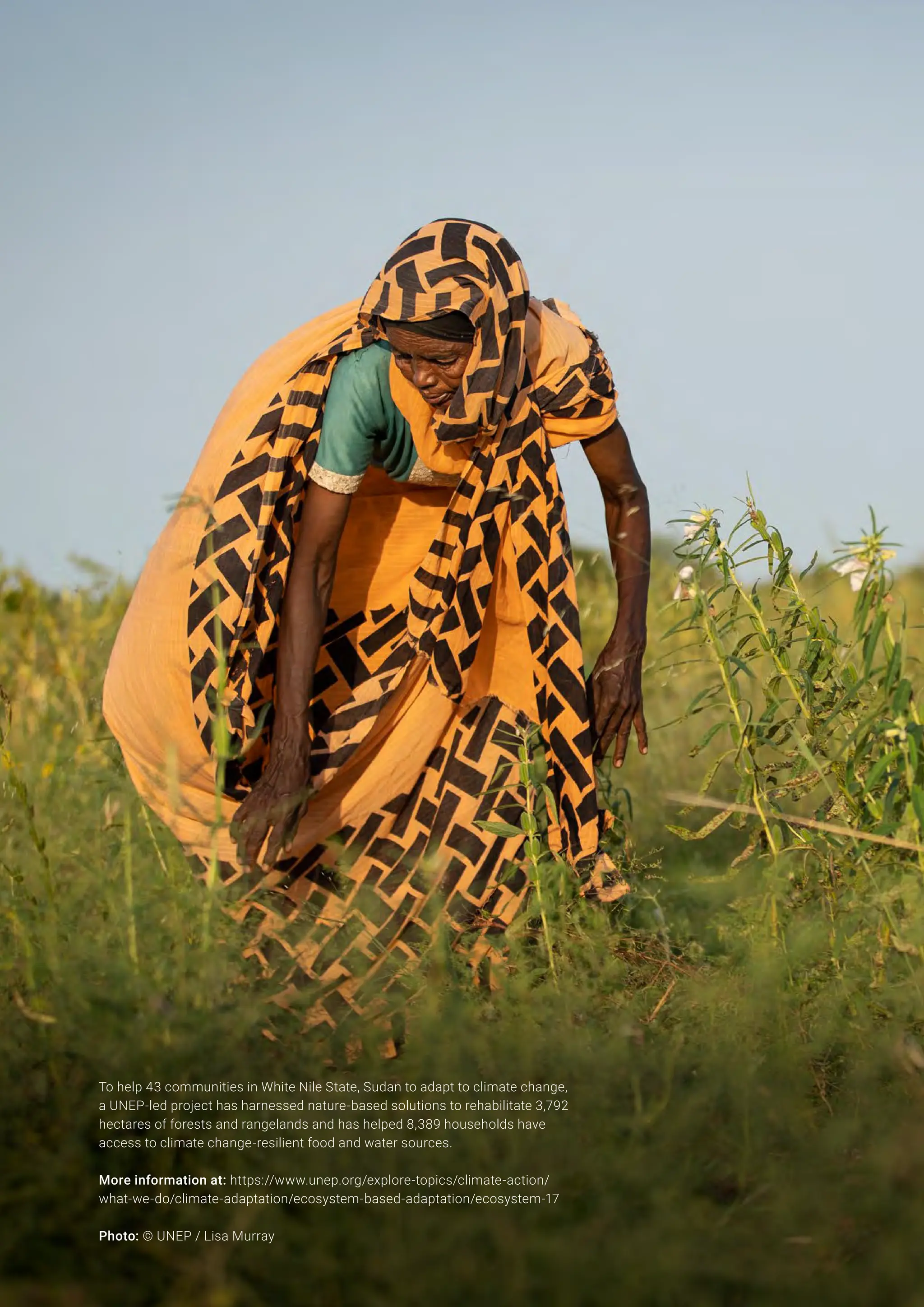 UNEP Climate Adaptation Gap Report 2023 | PDF