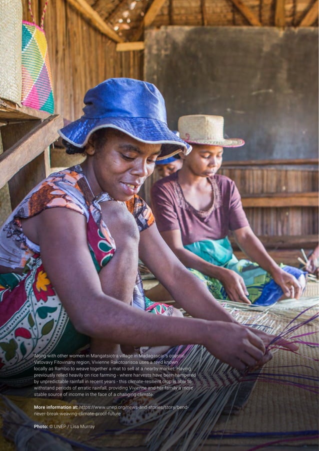 UNEP Climate Adaptation Gap Report 2023 | PDF