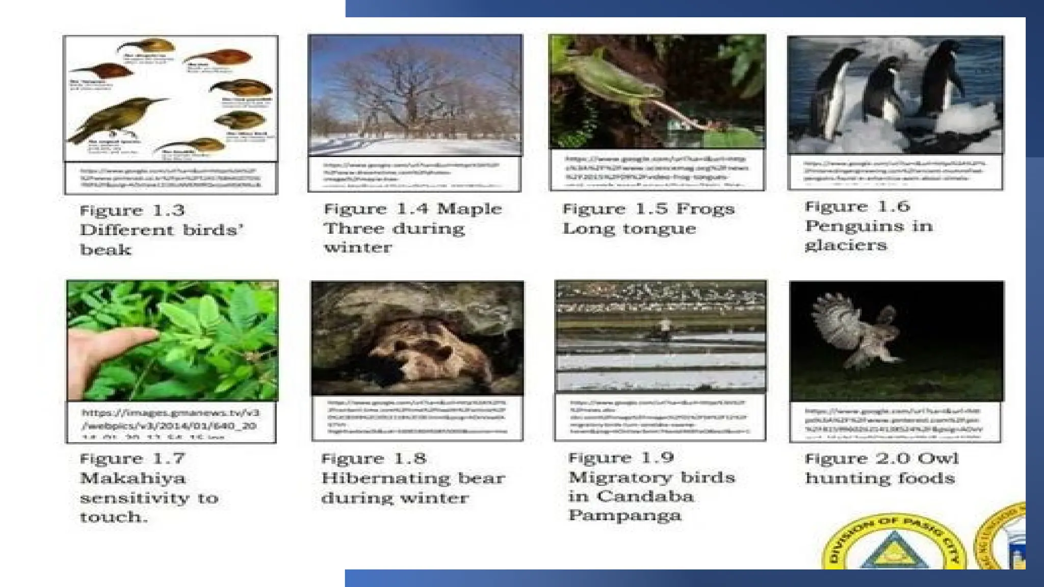 EVIDENCE FROM FOSSIL RECORDS.pMENTS.pptx