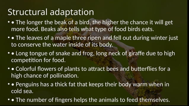 EVIDENCE FROM FOSSIL RECORDS.pMENTS.pptx