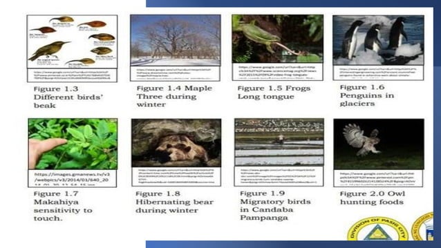 EVIDENCE FROM FOSSIL RECORDS.pMENTS.pptx