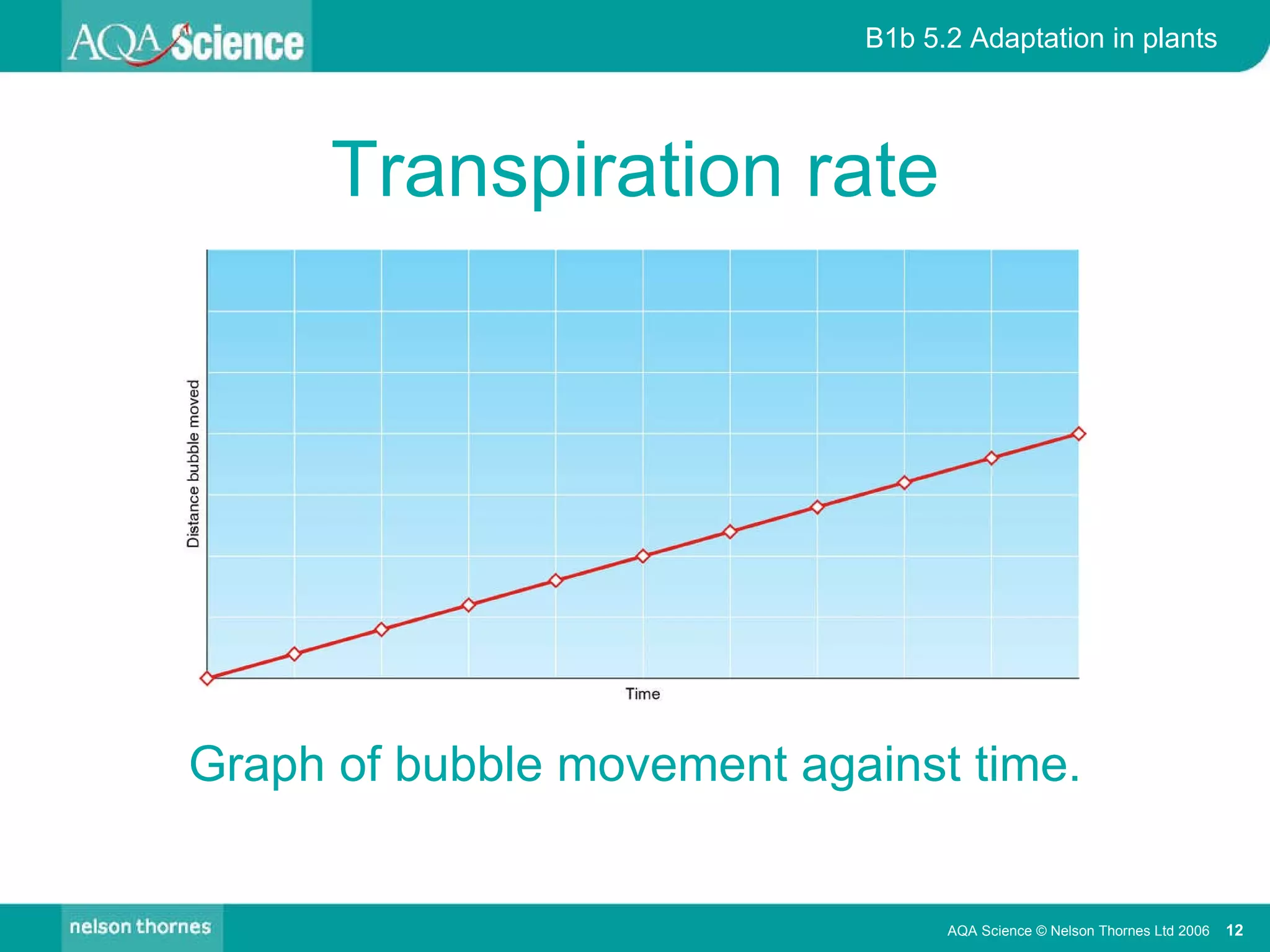 Adaptation In Plants | PPT