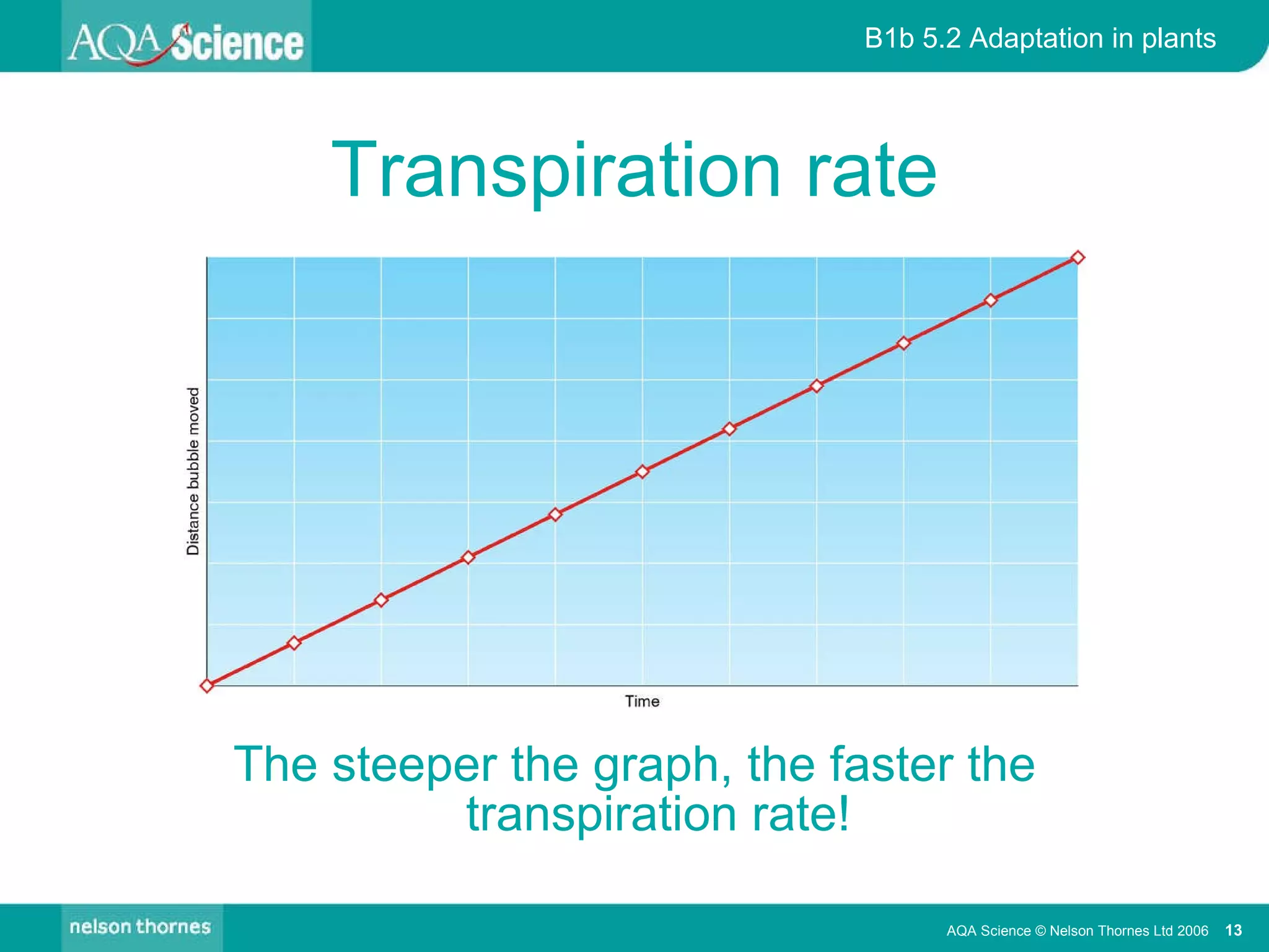 Adaptation In Plants | PPT