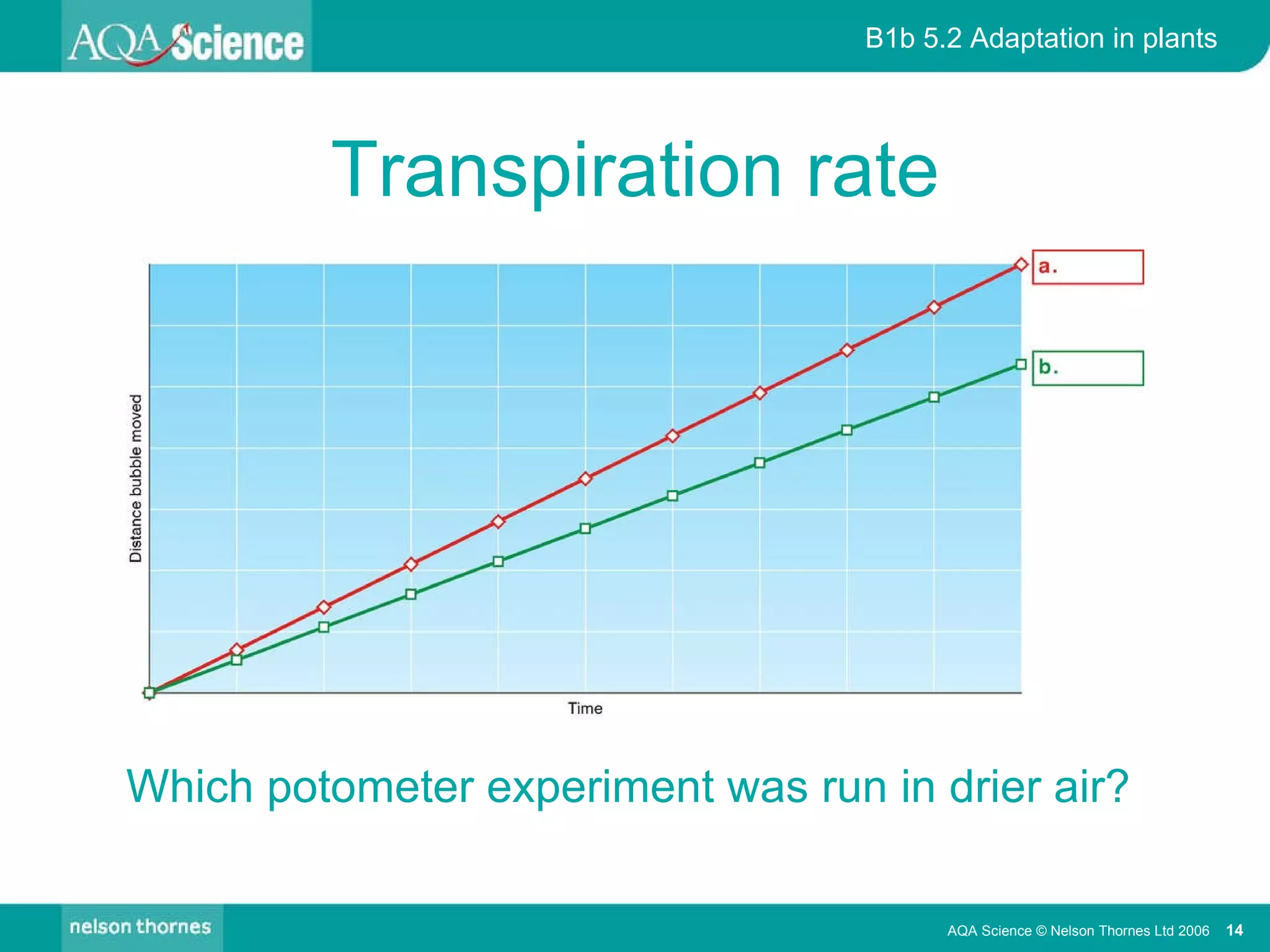 Adaptation In Plants | PPT