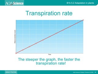 Adaptation In Plants | PPT