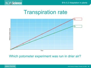 Adaptation In Plants | PPT