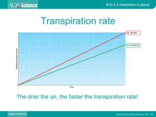 Adaptation In Plants | PPT