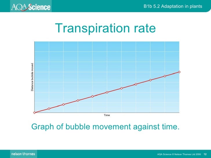 Adaptation In Plants
