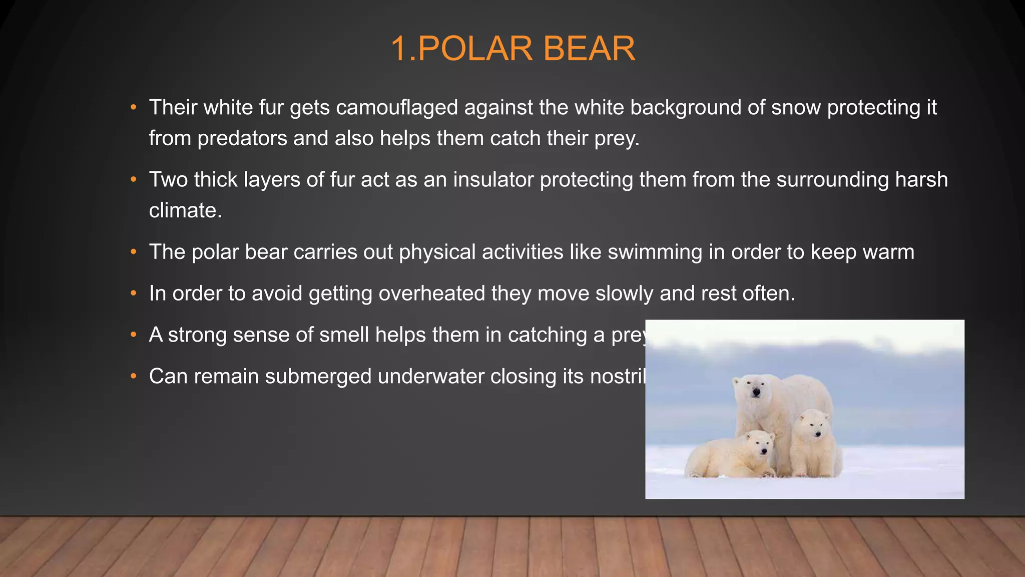 Adaptation in polar regions | PPTX