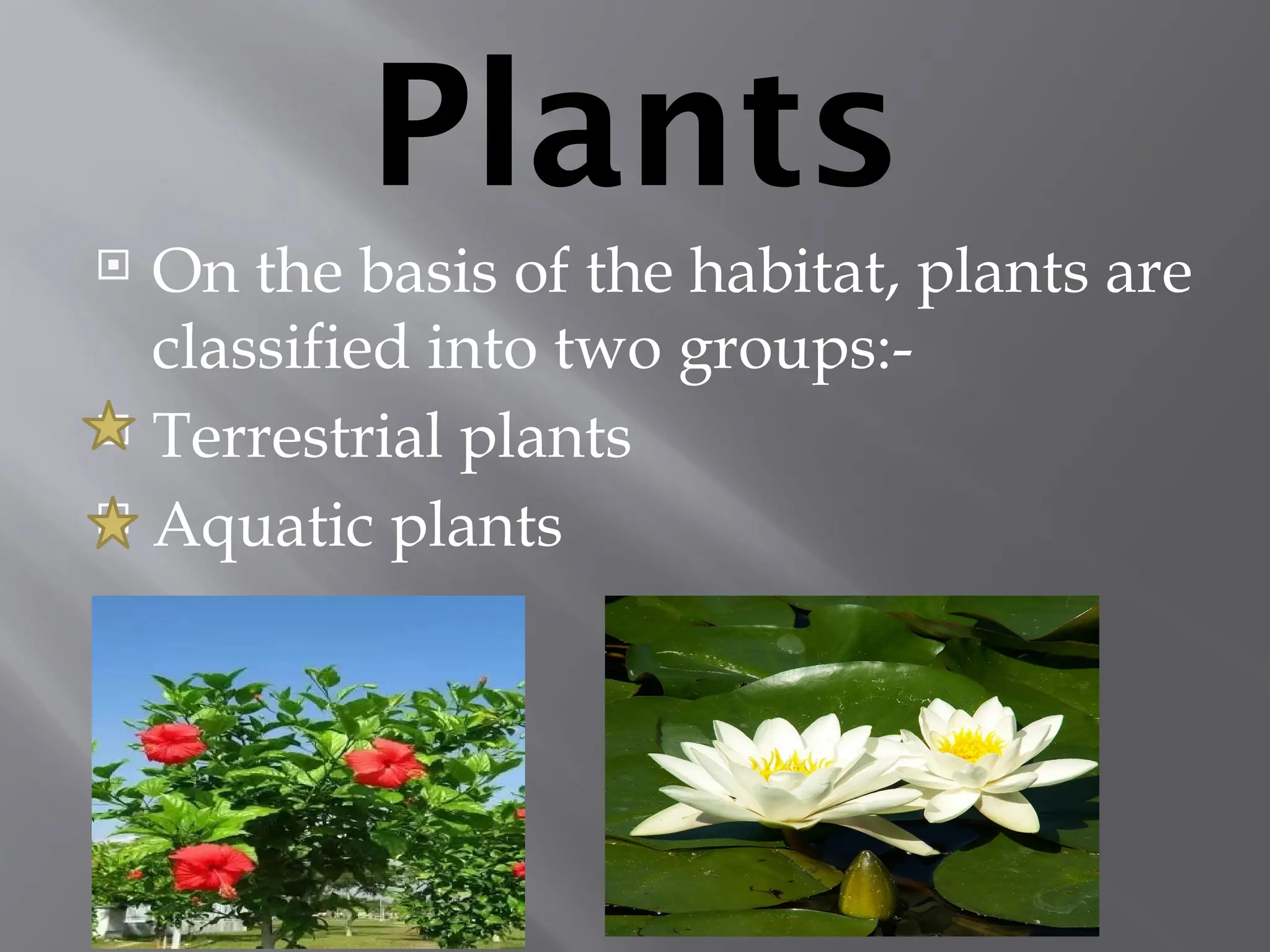 Adaptation in plants , Habitat. Plants.pptx