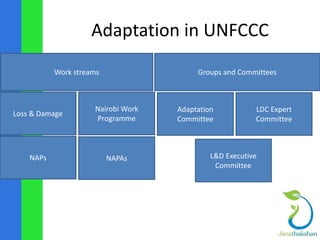 Adaptation in UNFCCC | PPTX | Environment | Science