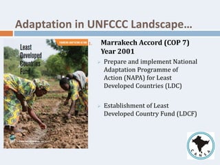 Adaptation Landscape | PDF
