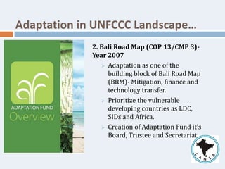 Adaptation Landscape | PDF