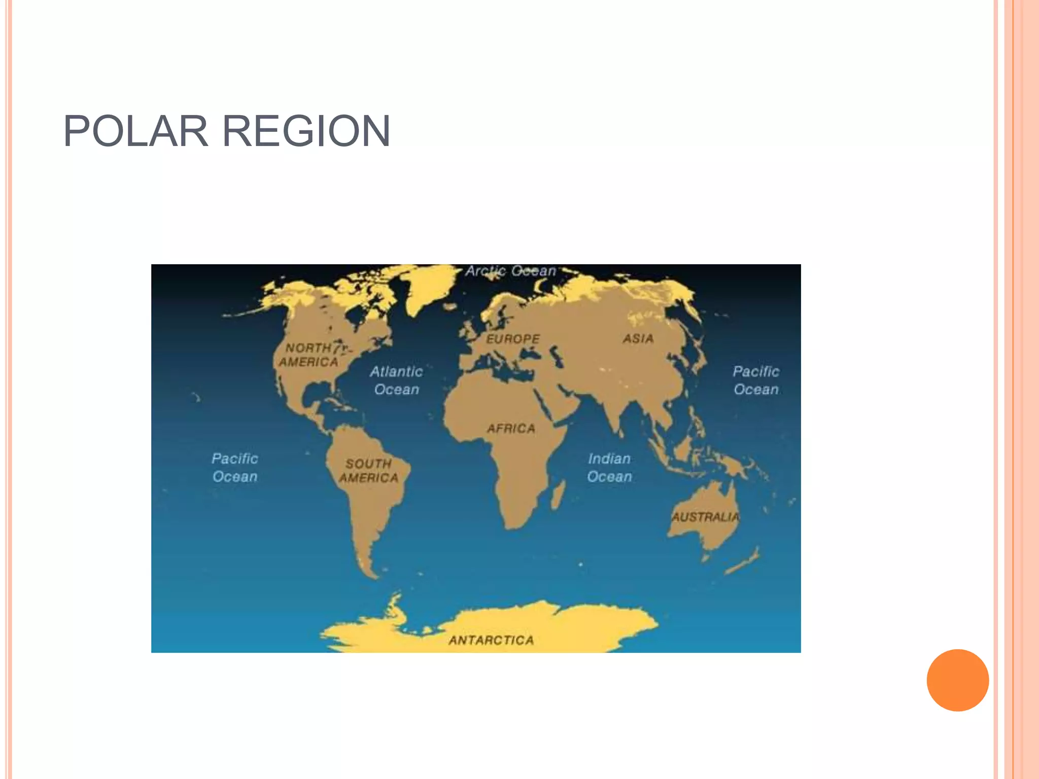 Adaptation of animals in polar region | PPTX