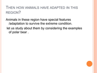 Adaptation of animals in polar region | PPTX