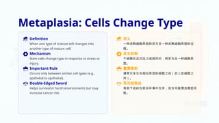 Adaptation of Cells and Tissues and cell response.pptx