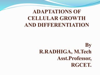 Adaptation of cellular growth and differentiation | PPT