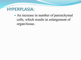 Adaptation of cellular growth and differentiation | PPT