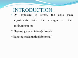 Adaptation of cellular growth and differentiation | PPT